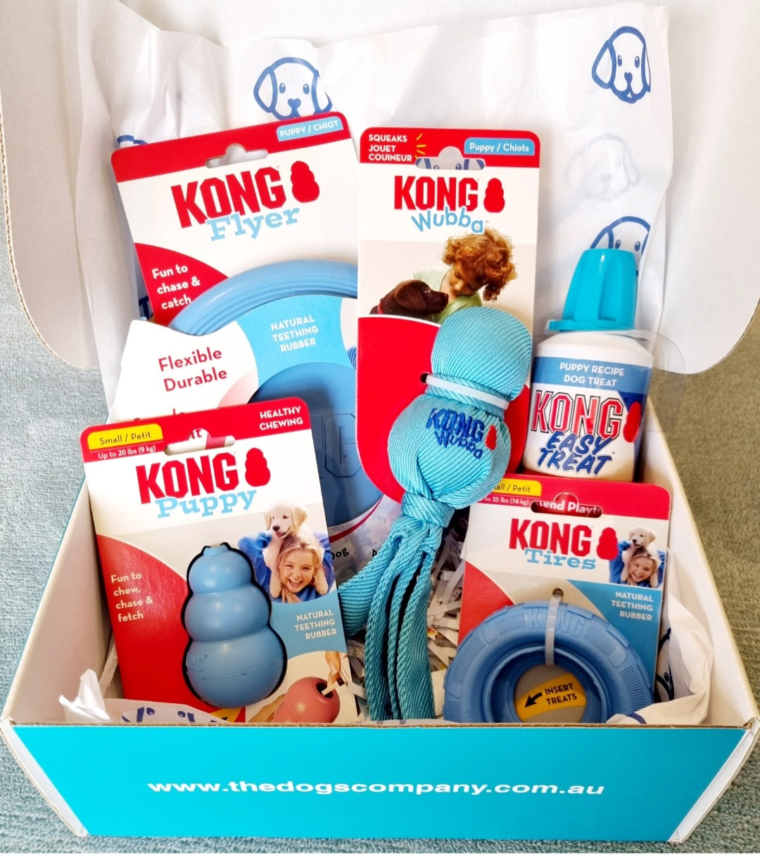 Kong Puppy Packs - Pink/Blue | The Dogs Company